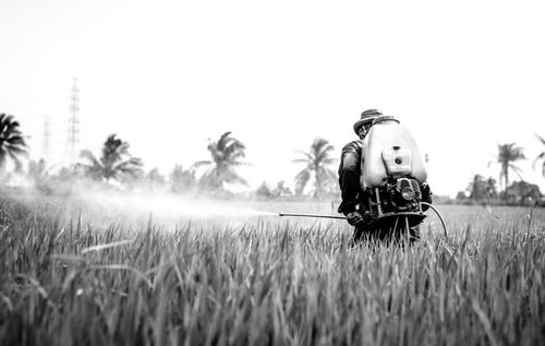 Monsanto Pays Over $2 Billion Verdict to Roundup Cancer Victims