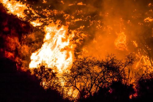 Legal Help & Resources for Victims of the Camp Fire